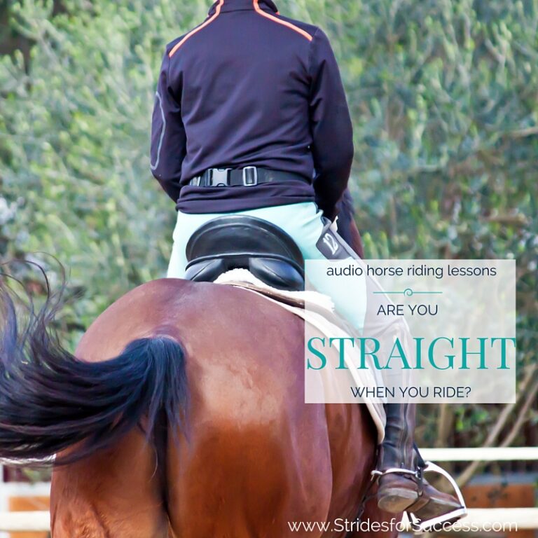 Are You Straight When You Ride Your Horse?