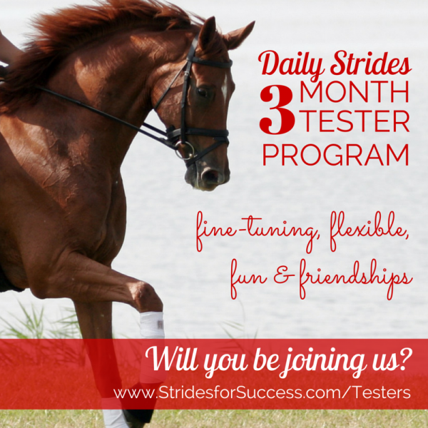 3 MONTH - Strides for Success