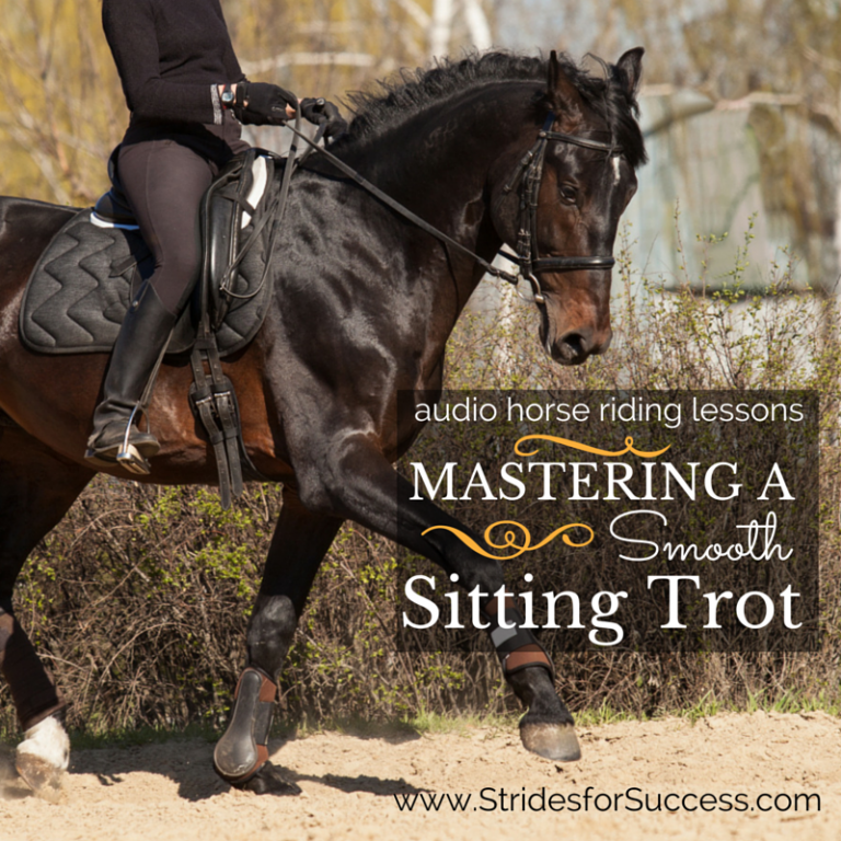 Mastering A Smooth Sitting Trot - Strides for Success