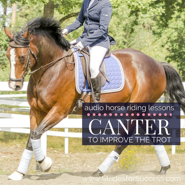 Canter to Improve the Trot - Strides for Success