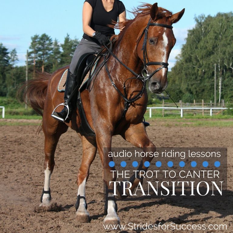 Trot to Canter Transition - Strides for Success
