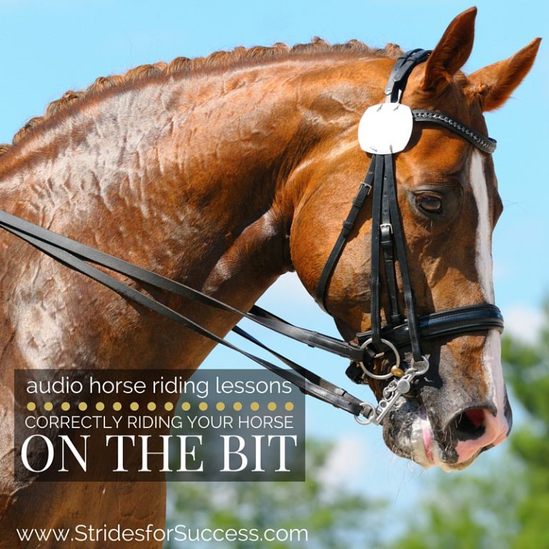 Assessing 'On The Bit' While Riding - Strides for Success