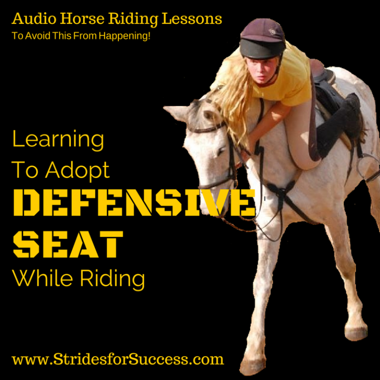 Learning a Defensive Seat While Riding - Strides for Success