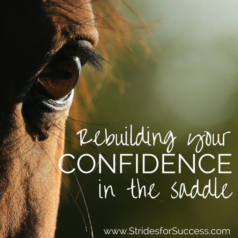 Rebuilding Your Confidence in the Saddle - Strides for Success