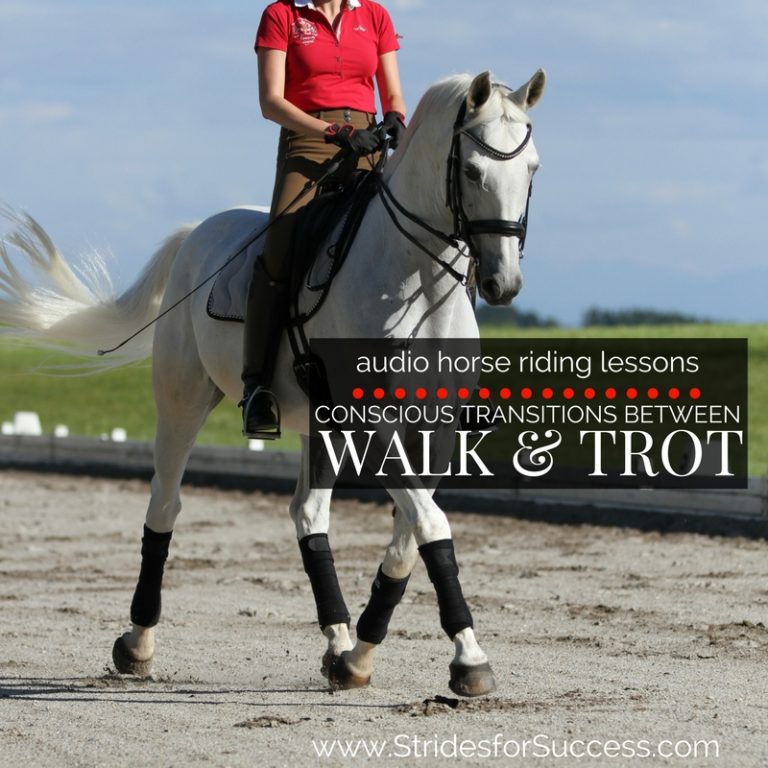 Better Transitions Between Walk and Trot - Strides for Success