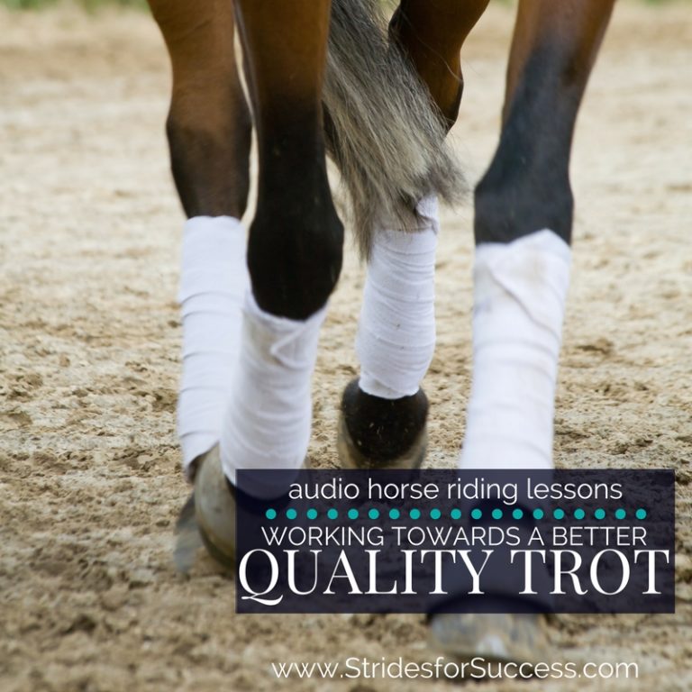Working Towards a Consistently Better Quality Trot - Strides for Success