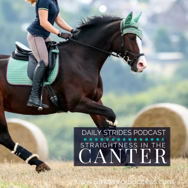 Straightness in the Canter; How You can Ensure You Are - Strides for ...