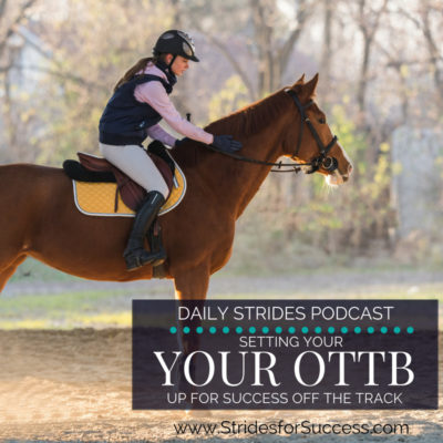 Setting Your OTTB Up for Success Off the Track - Strides for Success
