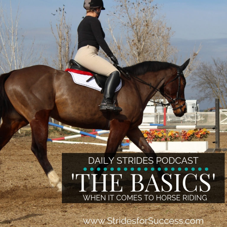 What are 'The Basics' When It Comes to Riding - Strides for Success