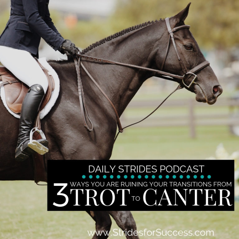 3 Mistakes in Your Transitions from Trot to Canter - Strides for Success