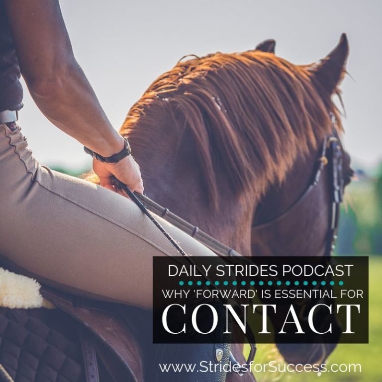 Why 'Forward' is Essential for Contact - Strides for Success