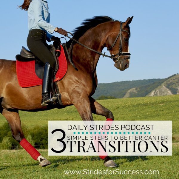 3 Steps to Better Canter Transitions - Strides for Success