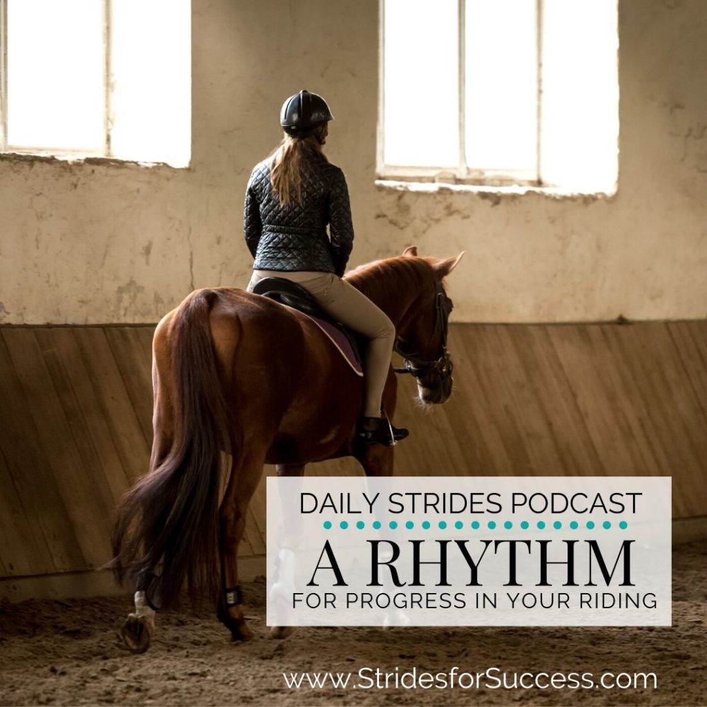 Developing a Rhythm for Your Progress in the Saddle - Strides for Success