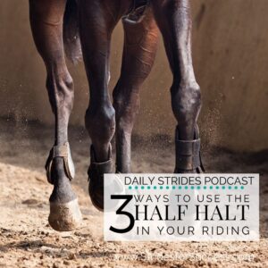 3 Ways to Use the Your Half Halt in Your Riding - Strides for Success