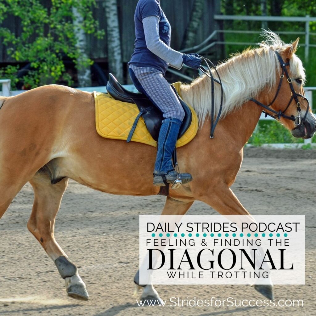 Feeling and Finding The Correct Diagonal in the Trot - Strides for Success