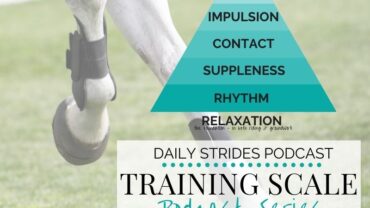 Collection and How You Can Begin Safely Working Towards It