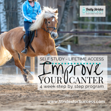 Setting Up Better Canter Transitions - Strides for Success