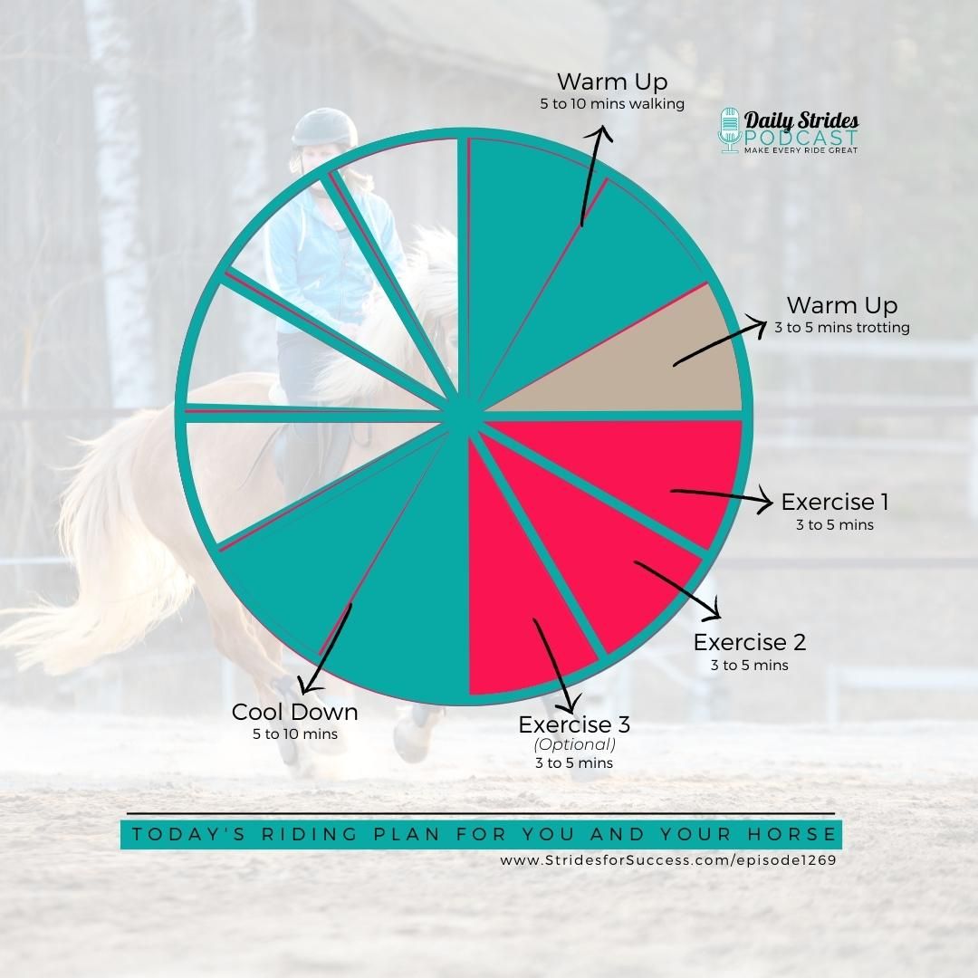 A Riding Plan for Today for You & Your Horse - Strides for Success