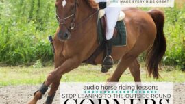 Canter Archives - Strides for Success