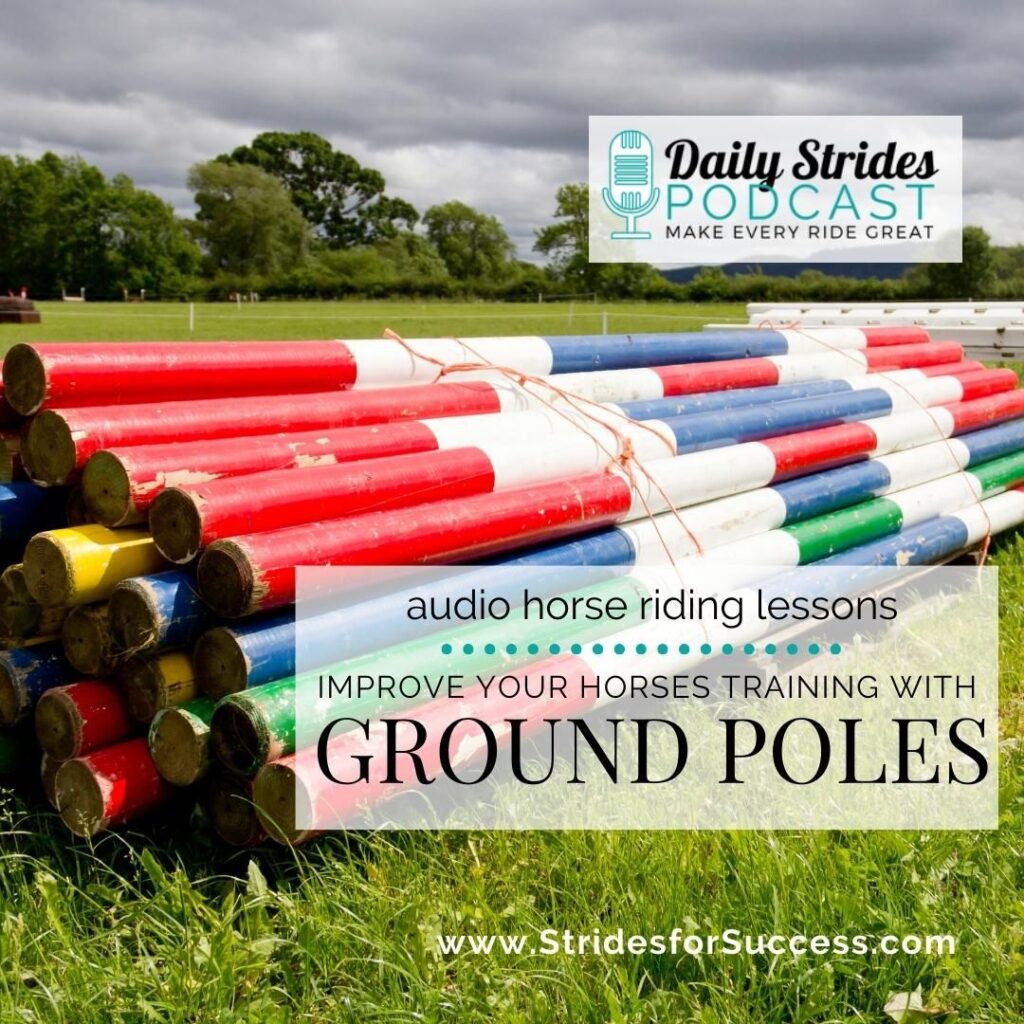 Transform Your Horses Training with Ground Poles - Strides for Success