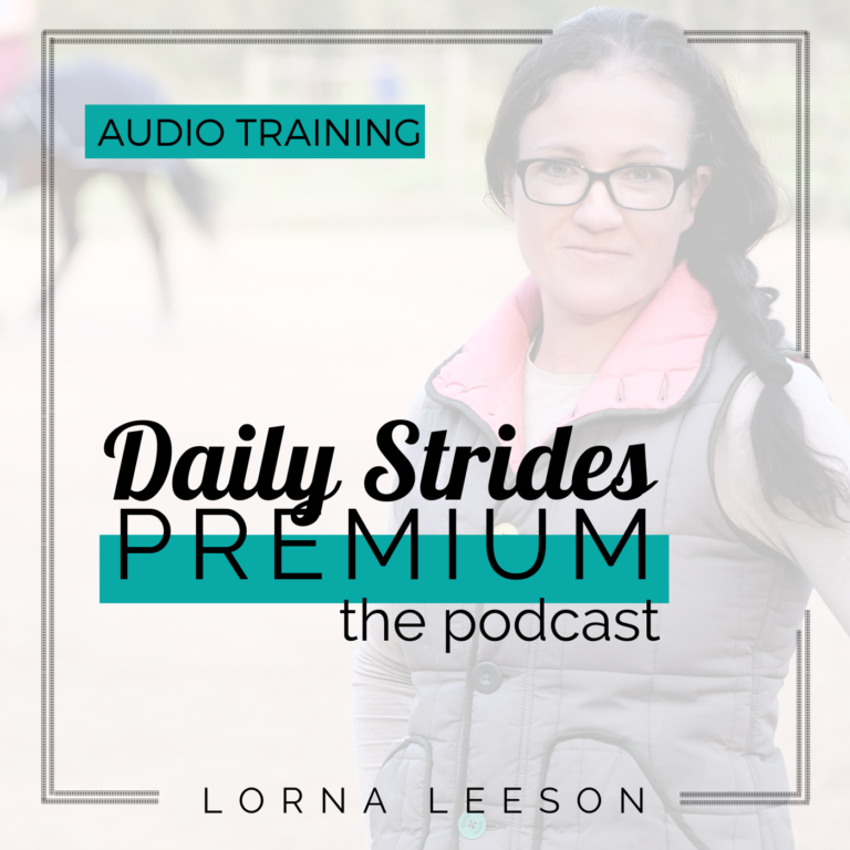 Setting Up Better Canter Transitions - Strides for Success