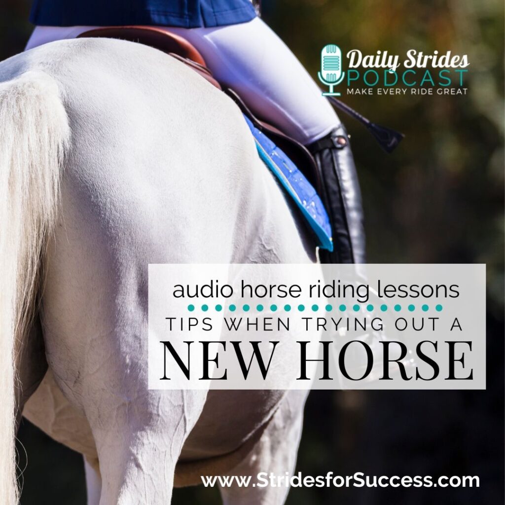 Strides for Success - make EVERY ride great