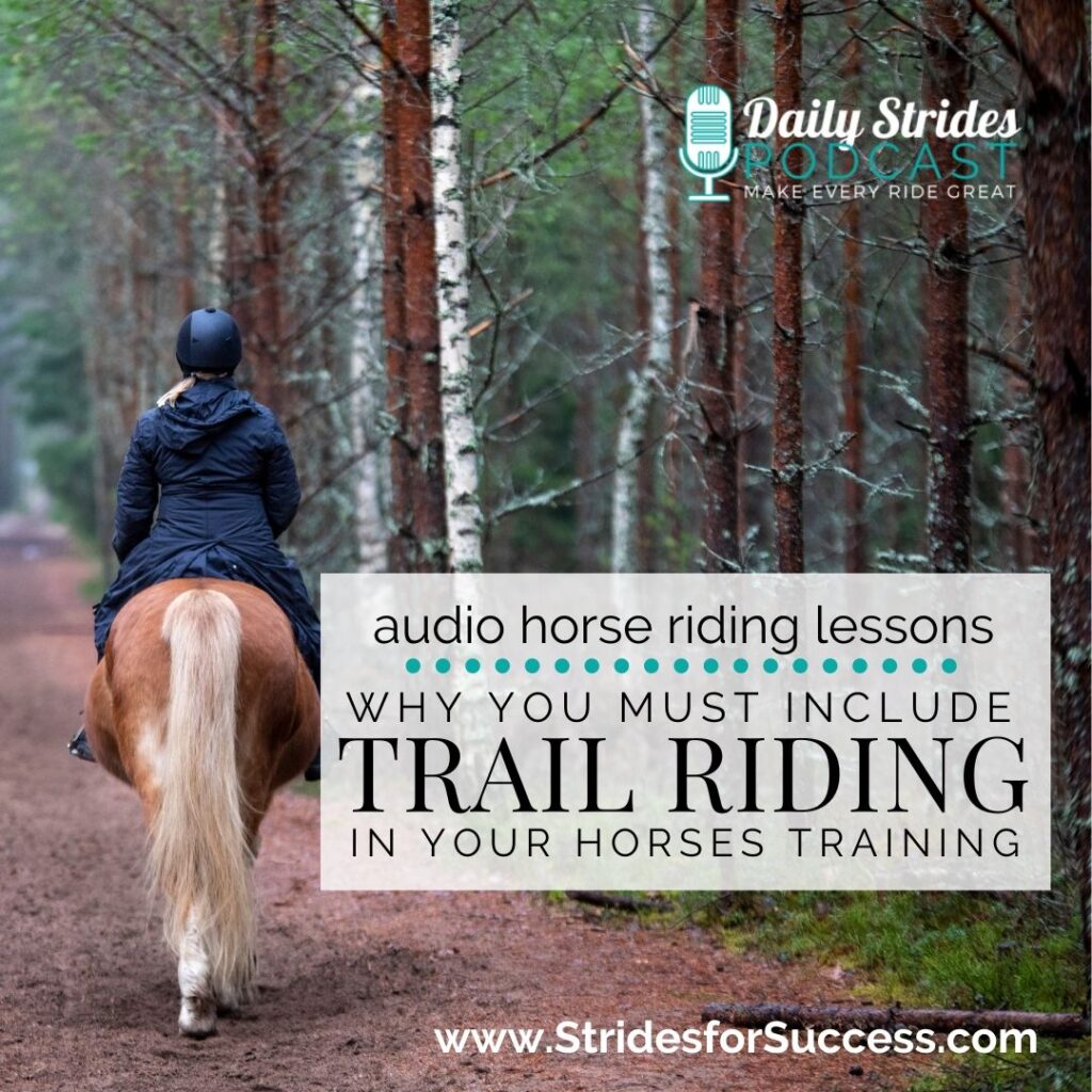 Why You MUST Include Trail Riding in Your Horse's Training - Strides ...